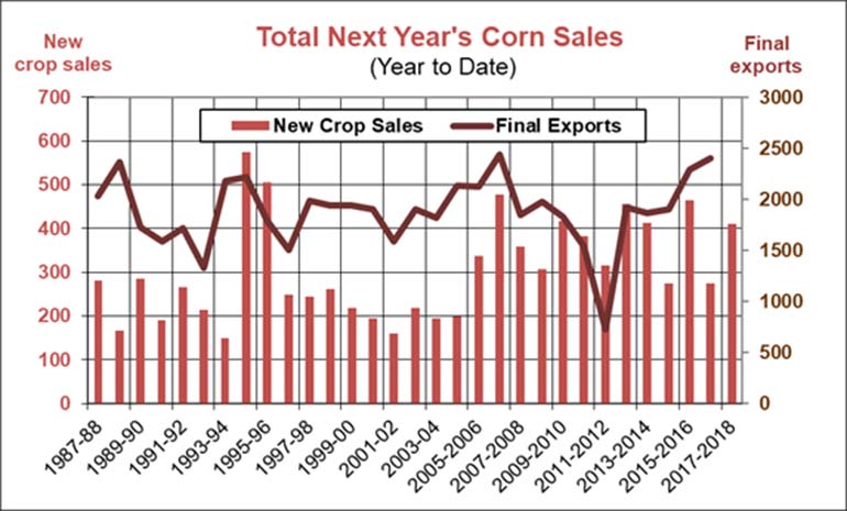 Weekly Export Sales: Corn bounces back