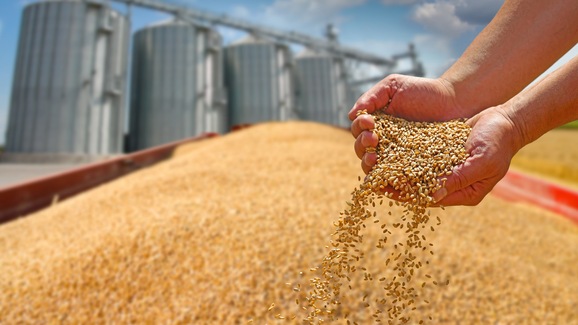 Latest Commodities Prices | Feedstuffs