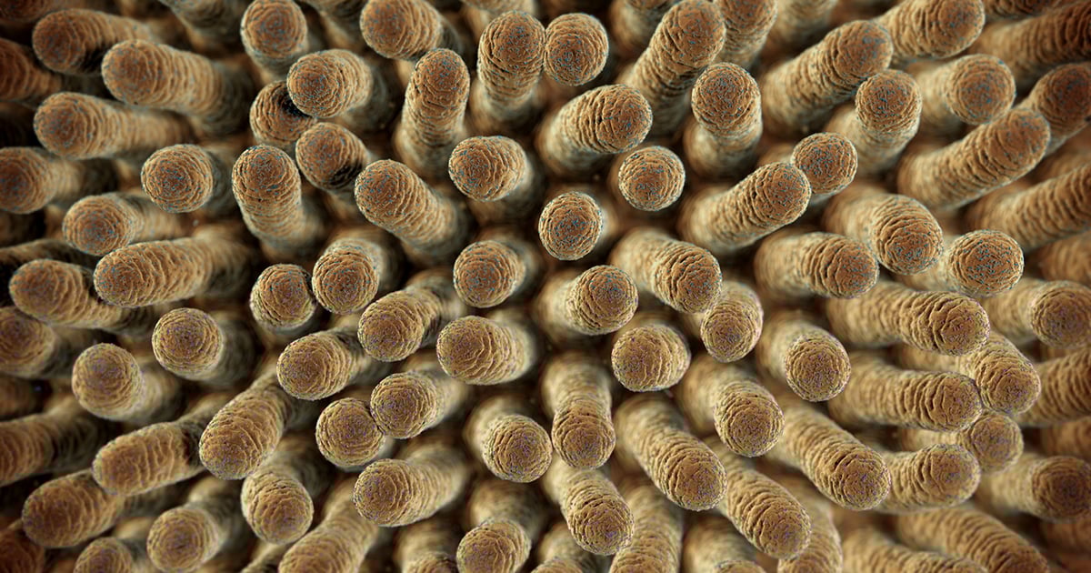 CLOSTAT® Mode of Action