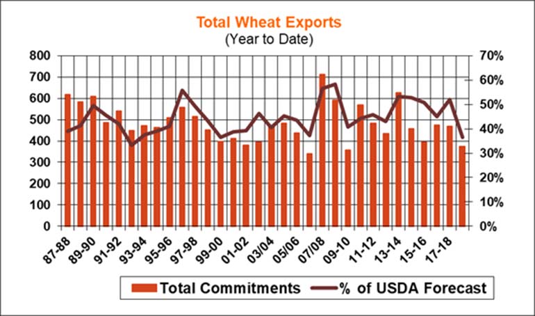 Weekly Export Sales: Grains rebound (minus China)