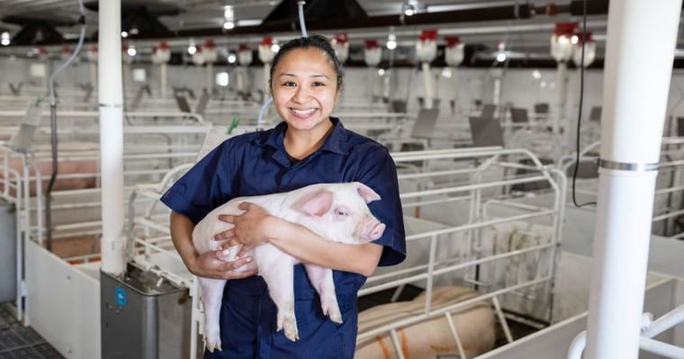 Alltech introduces product for successful farrowing, pig livability