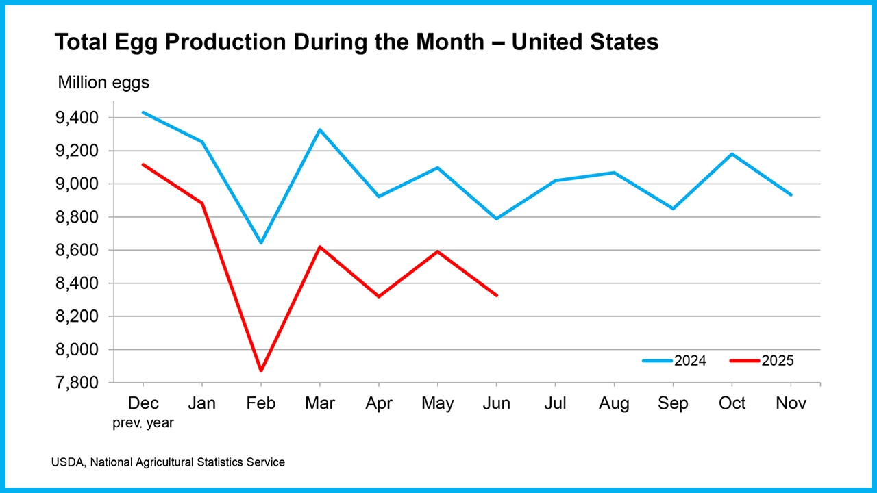 egg production chart