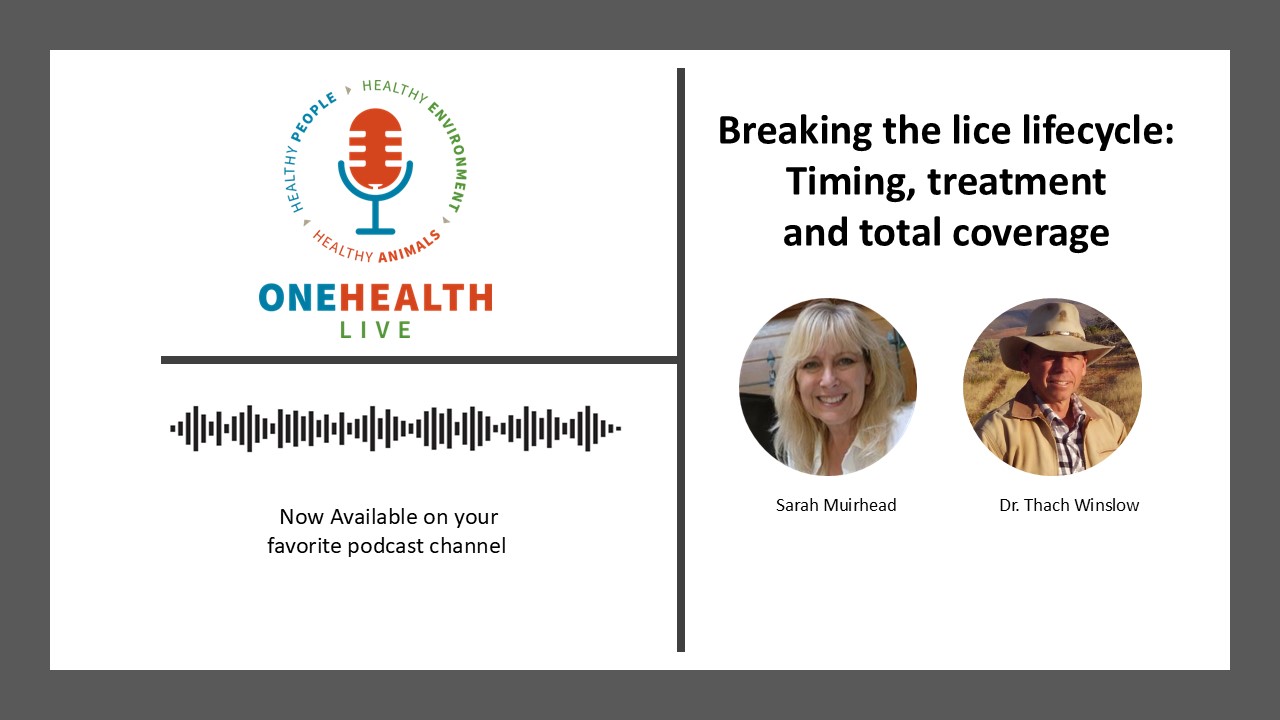 Clint Peck | Beef Magazine