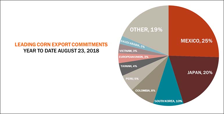 Weekly Export Sales: Corn, wheat dips lower