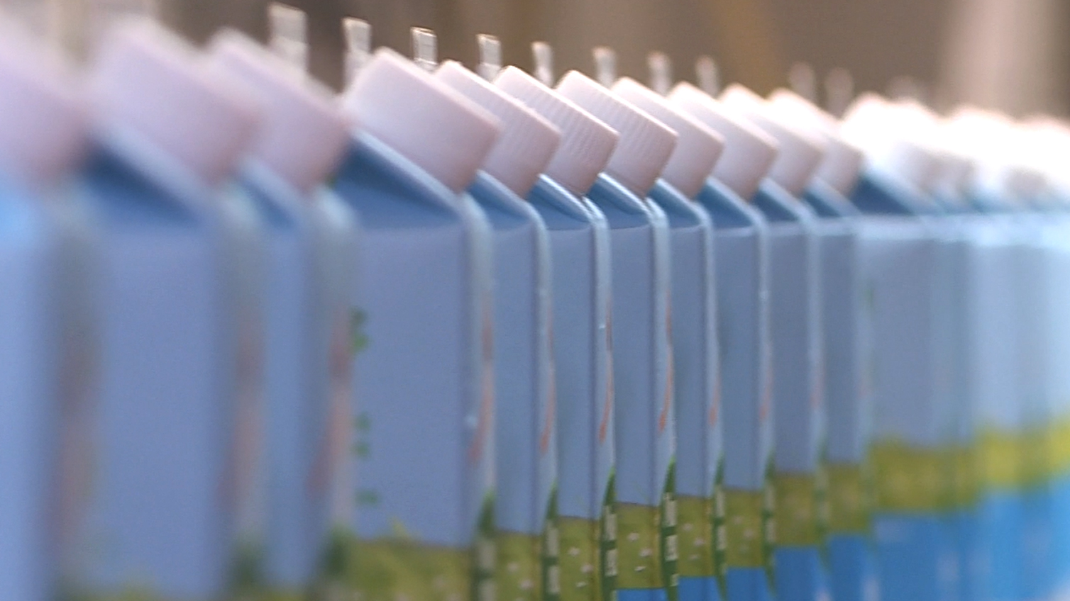 Latest Feeder Cattle Prices | Feedstuffs