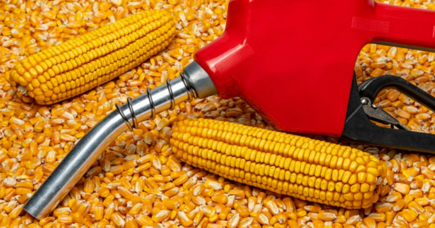 USDA to invest heavily in biofuel infrastructure