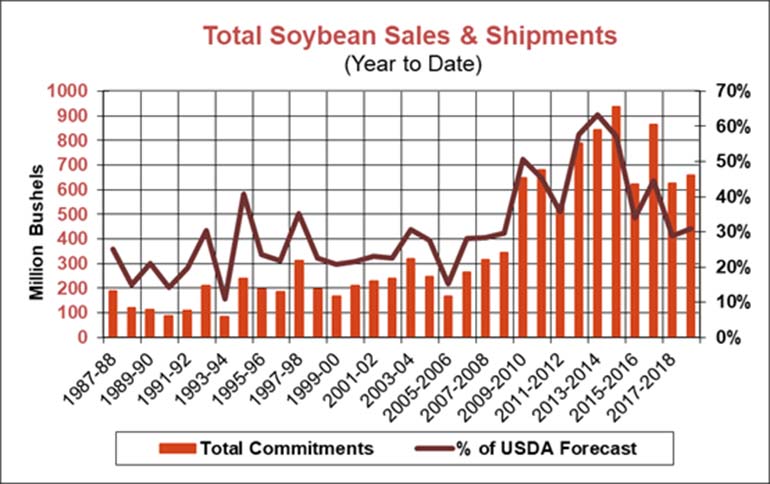 Weekly Export Sales: Grains rebound (minus China)