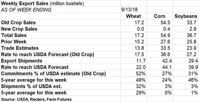 Weekly Export Sales: Grains rebound (minus China)