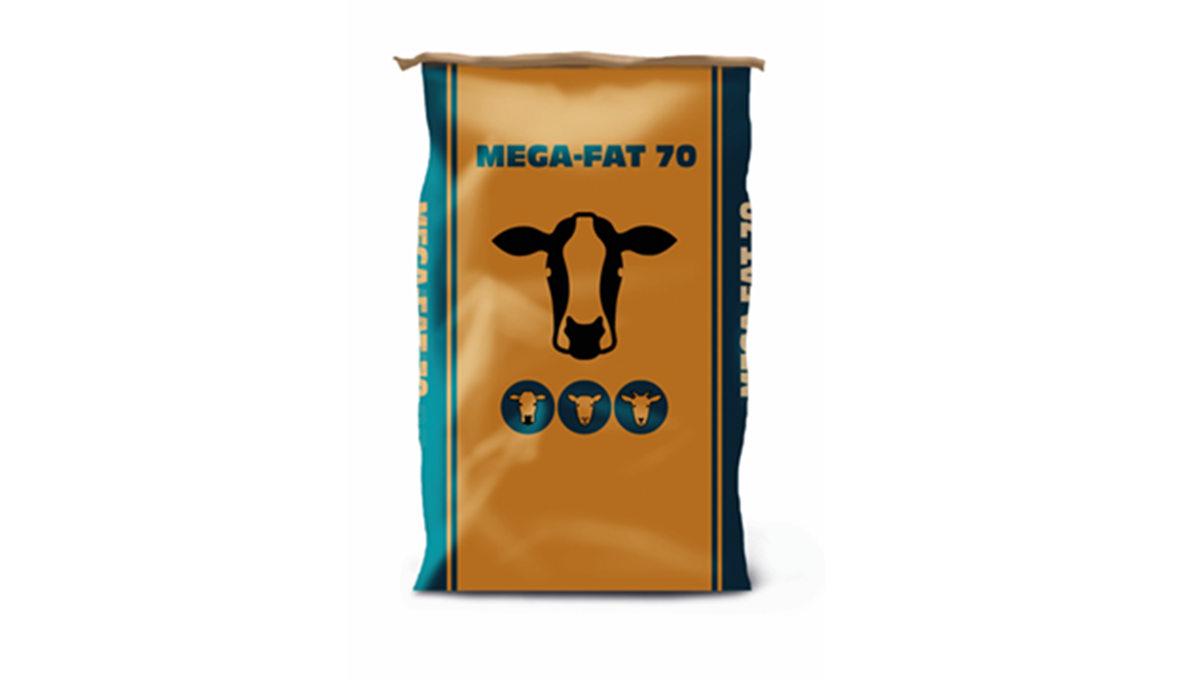 Volac Wilmar Feed Ingredients extends product range with Mega-Fat 70