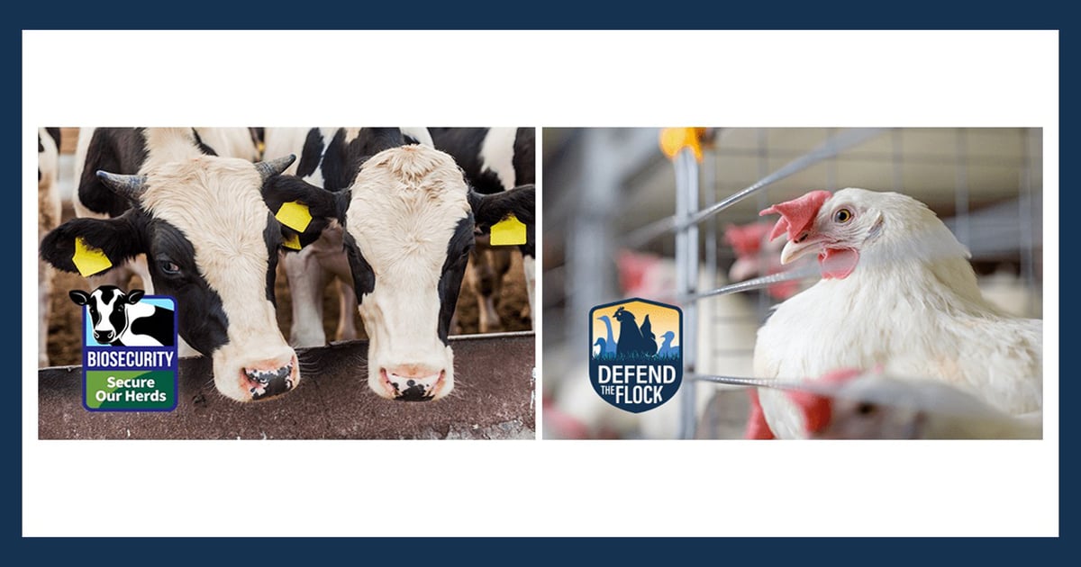 USDA to host bird flu biosecurity webinars