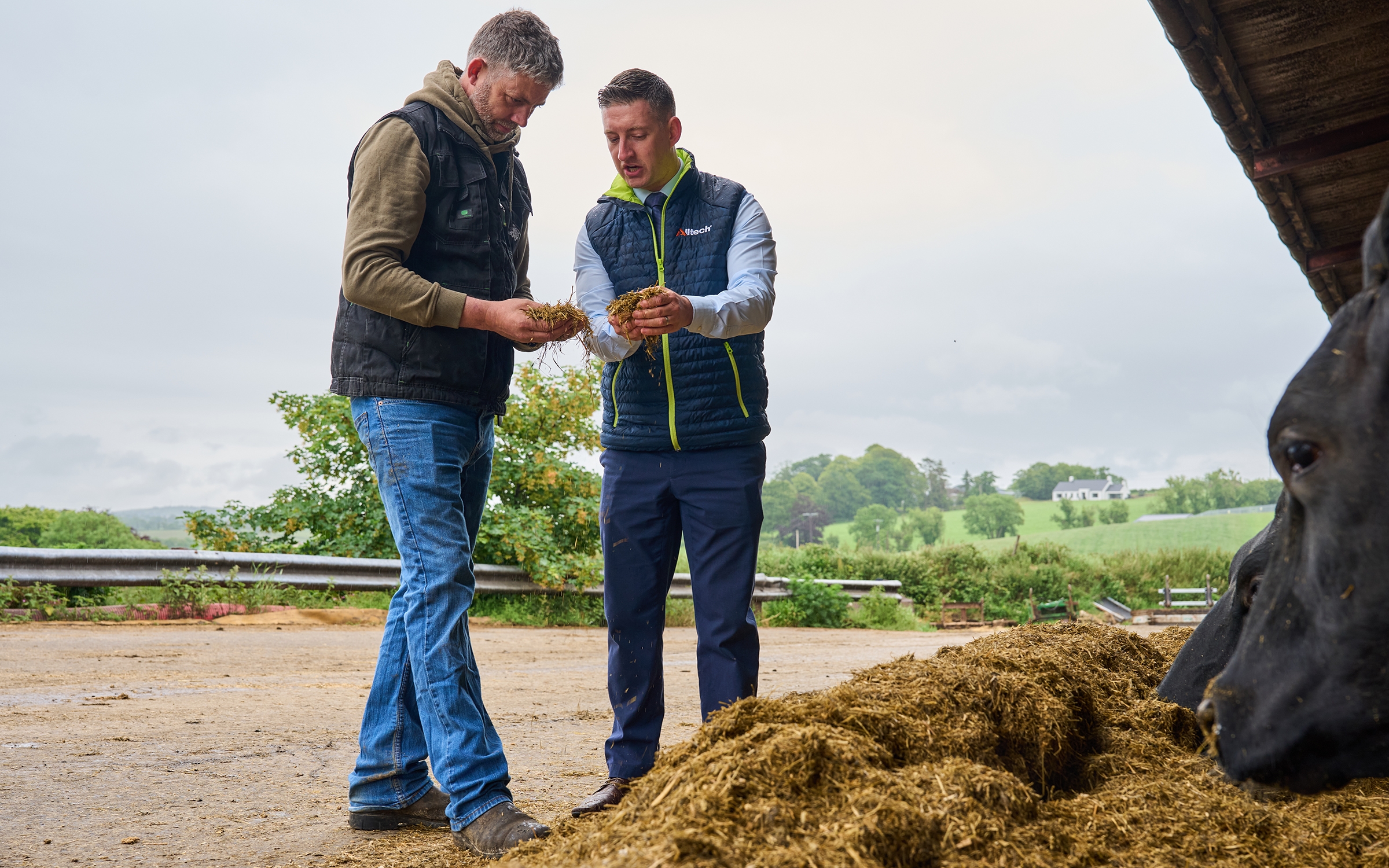 Alltech launches next-generation mycotoxin binders