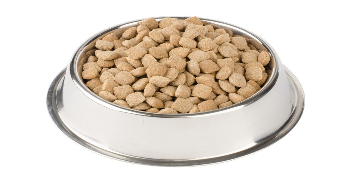 Whitepaper explores use of bioactive peptides in pet food
