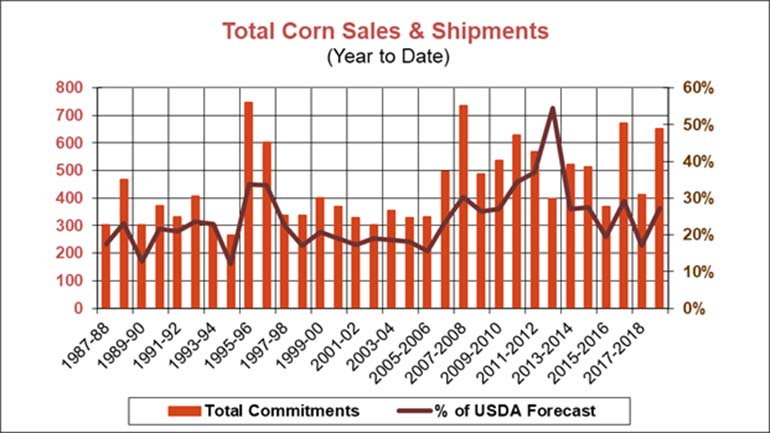 Weekly Export Sales: Grains rebound (minus China)