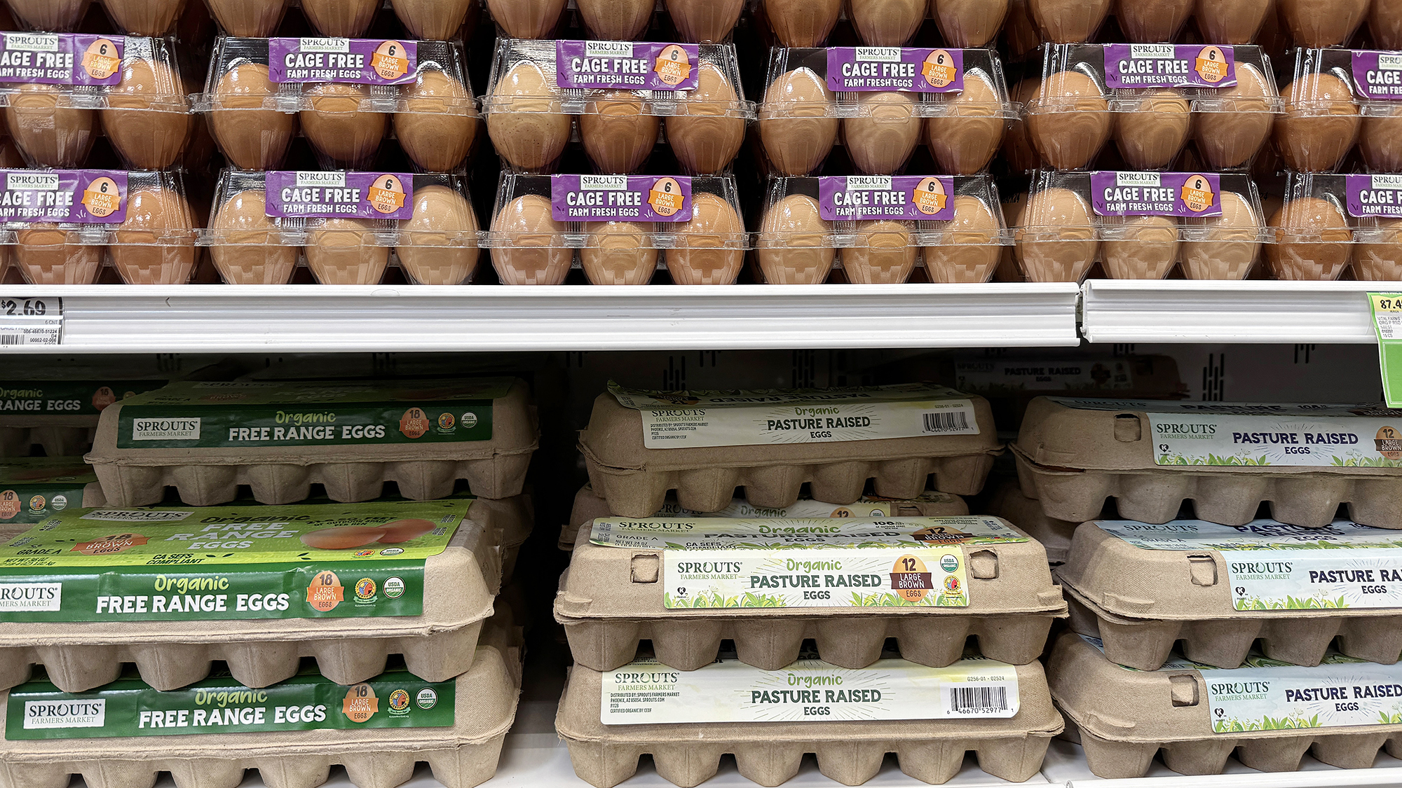 Poultry group urges FDA to update ‘pasture-raised’ egg labeling