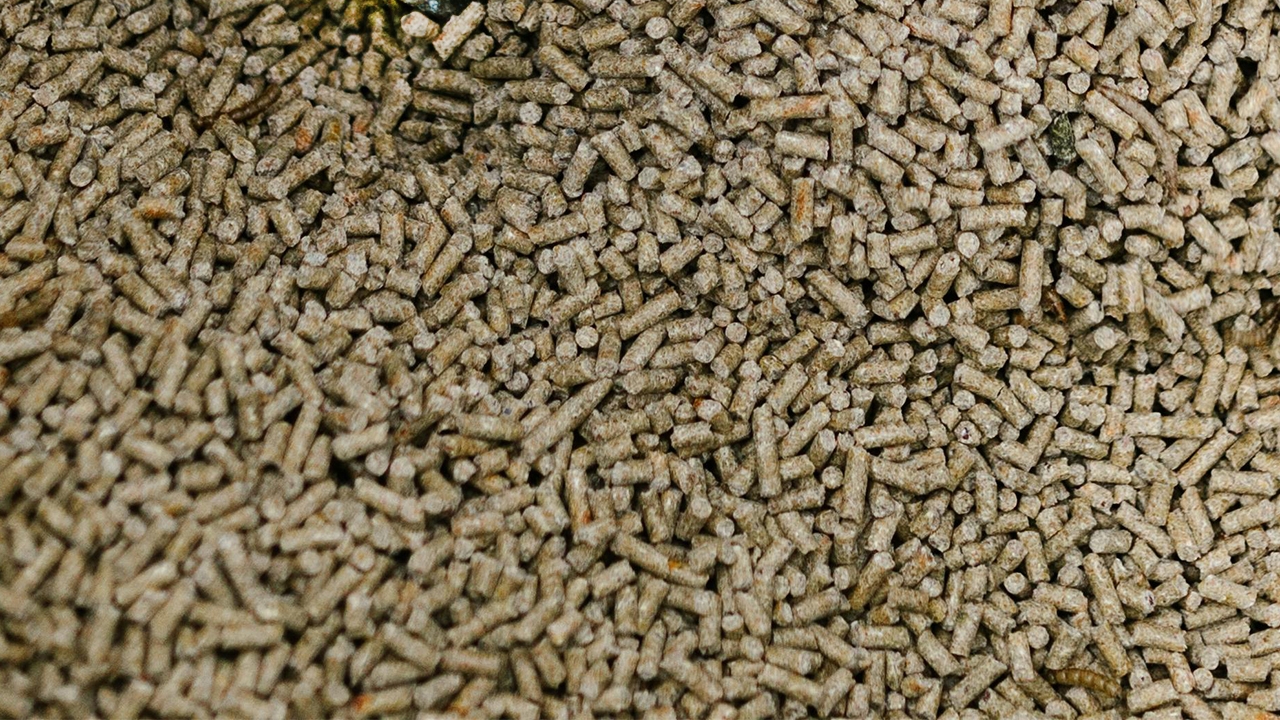 Feedstuffs, your source for animal agriculture news