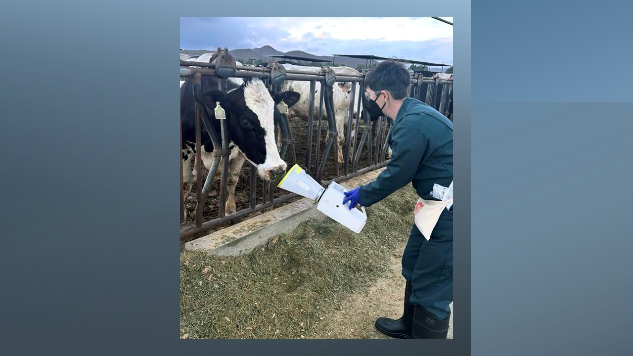 Dairy Health and Nutrition recent news | page 2 of 39 | Feedstuffs