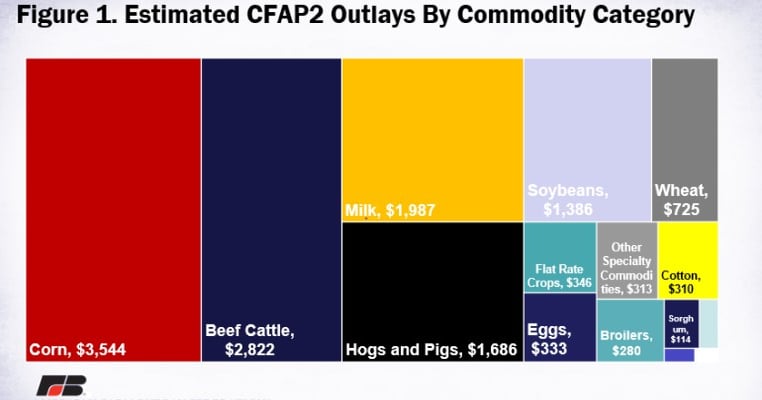 Who will receive the most CFAP2 payments?