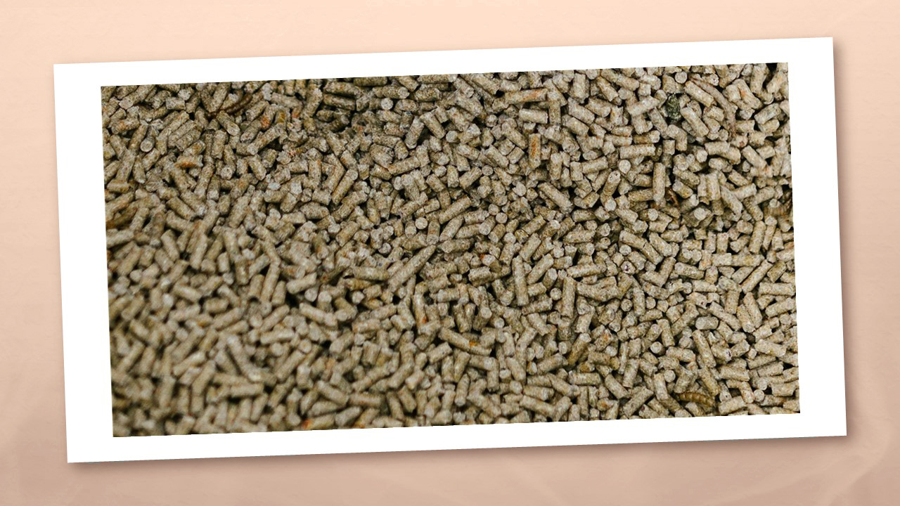 Clint Peck | Beef Magazine