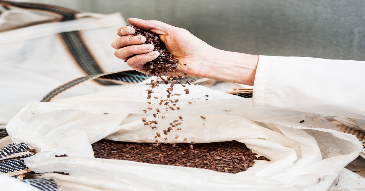 Calysta tests protein replacement for shrimp