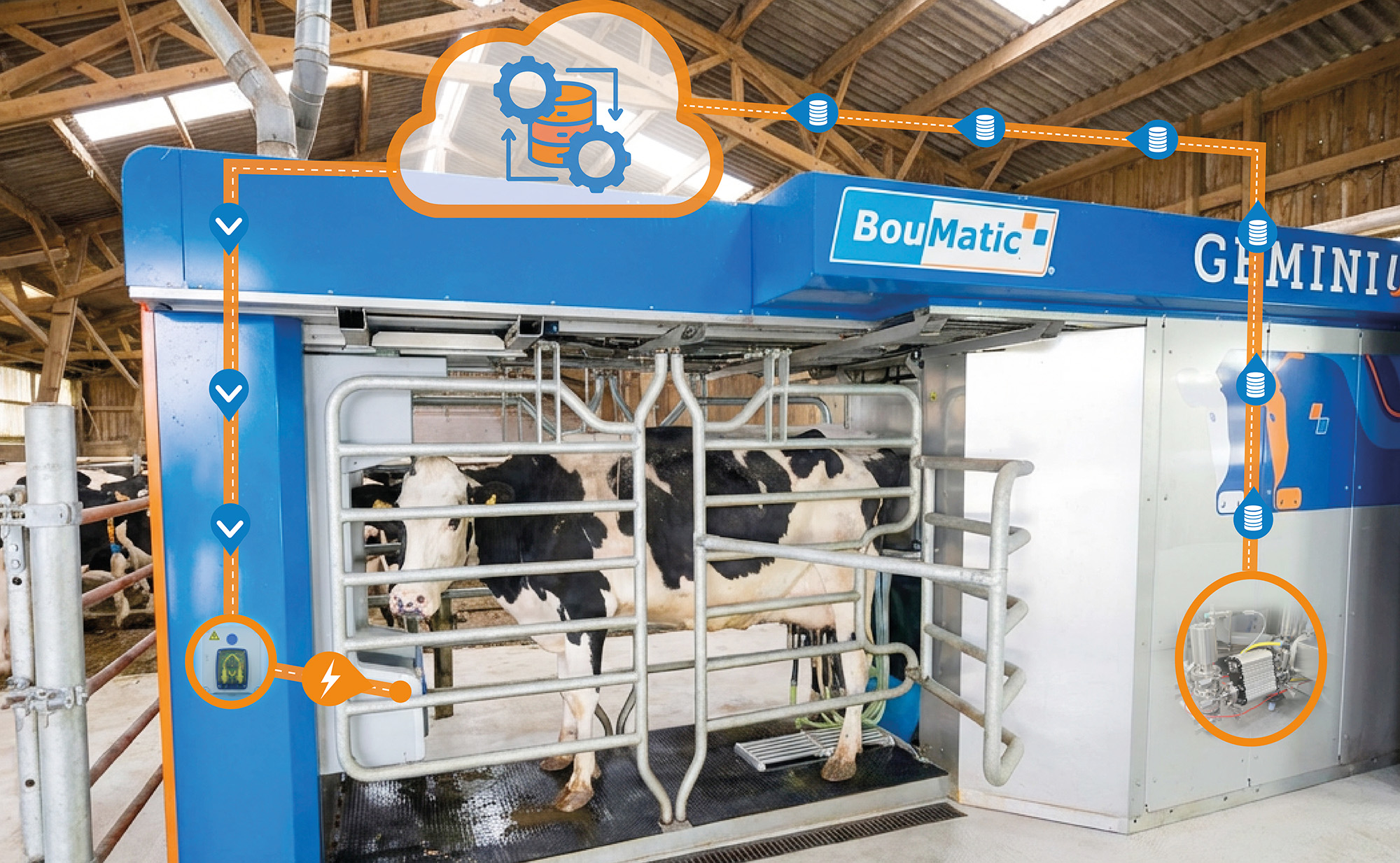 Cal-Maine reports strongest Q1 in company history