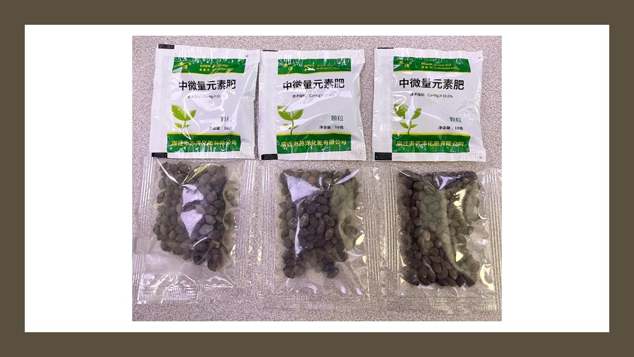 Texas seeing surge in mystery seeds from China