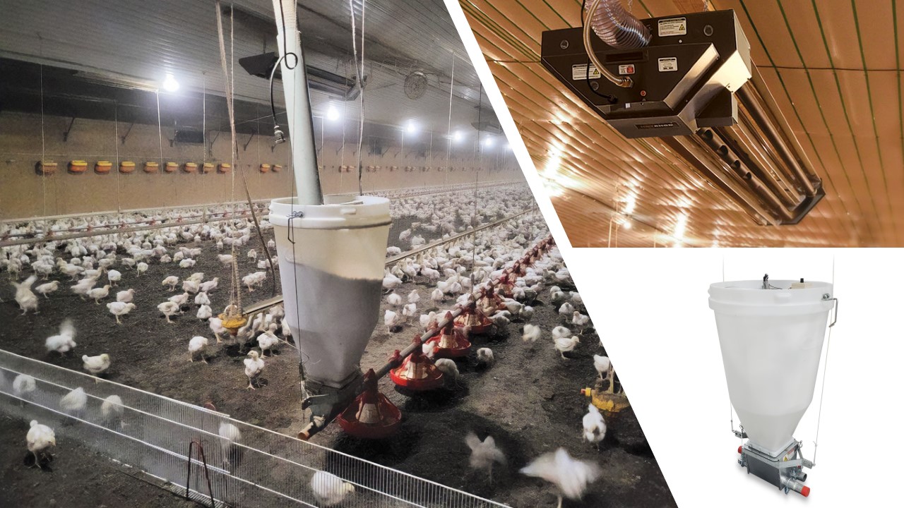 Cumberland debuts products for healthier poultry houses