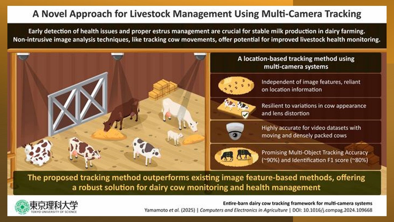 New camera technology tracks dairy cows across the barn
