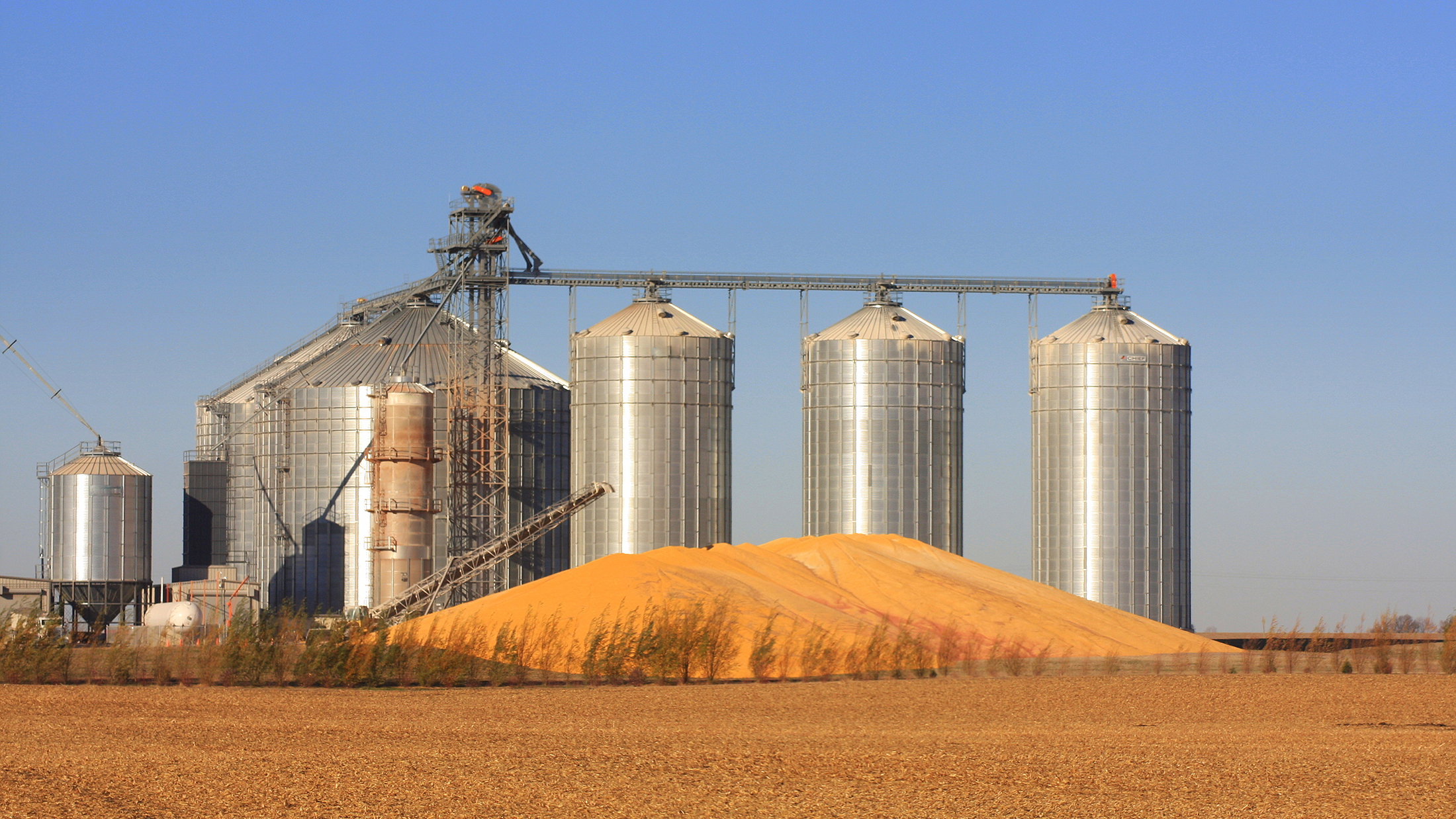 Grain elevators and merchandisers face tricky tradeoffs