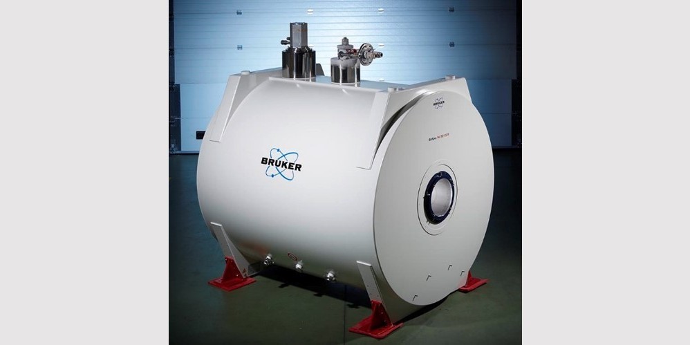 New animal MRI expands pig neuroscience capabilities