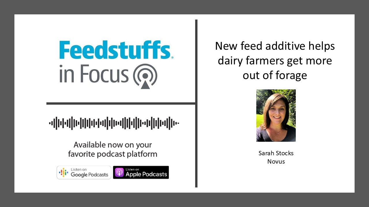 Ingredient Market Prices recent news | Feedstuffs