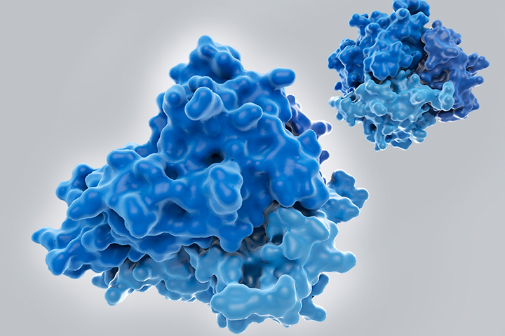 Infiammazione perivascolare Ipertensione Arteriosa Polmonare - Phocus360