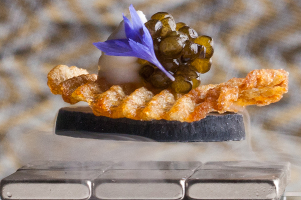 Roe elevates everyday restaurant menus
