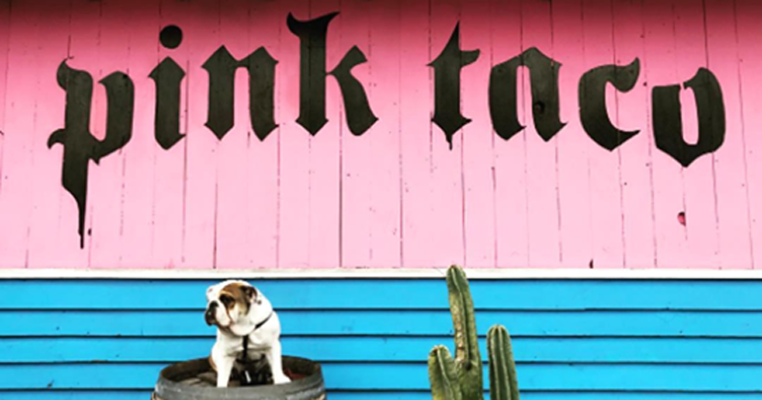 Pink Taco gets a second wind under Z Capital Partners