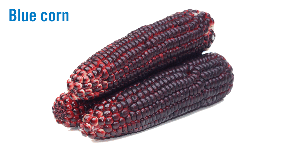 Flavor of the Week: Blue corn infuses dishes with color