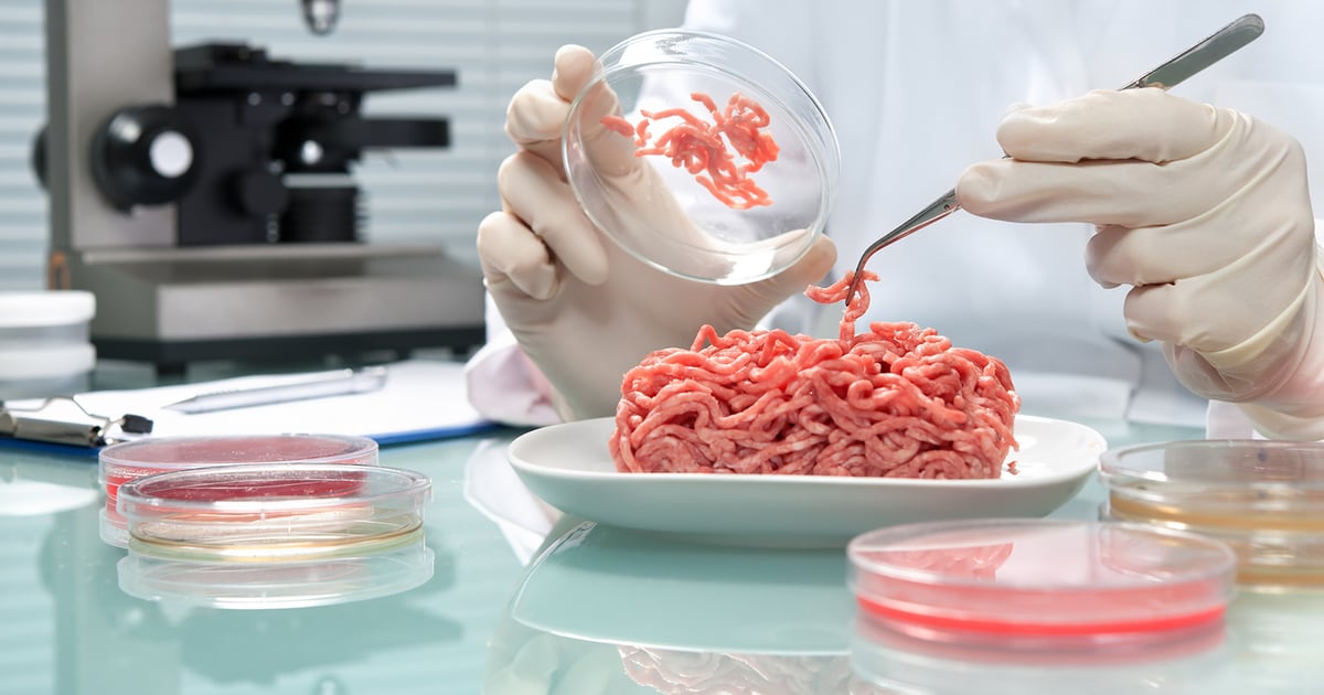 Kruse/Thorn: Looking to the future with lab-grown meat