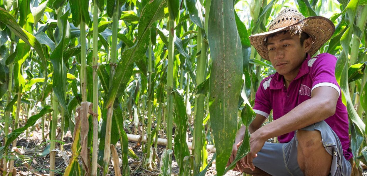 Entrepreneurs for sustainable livelihoods and ecosystems