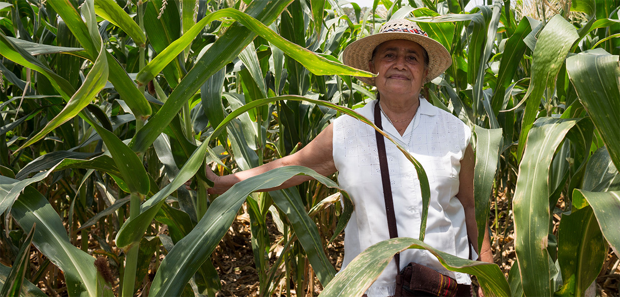 20 years of biofortification