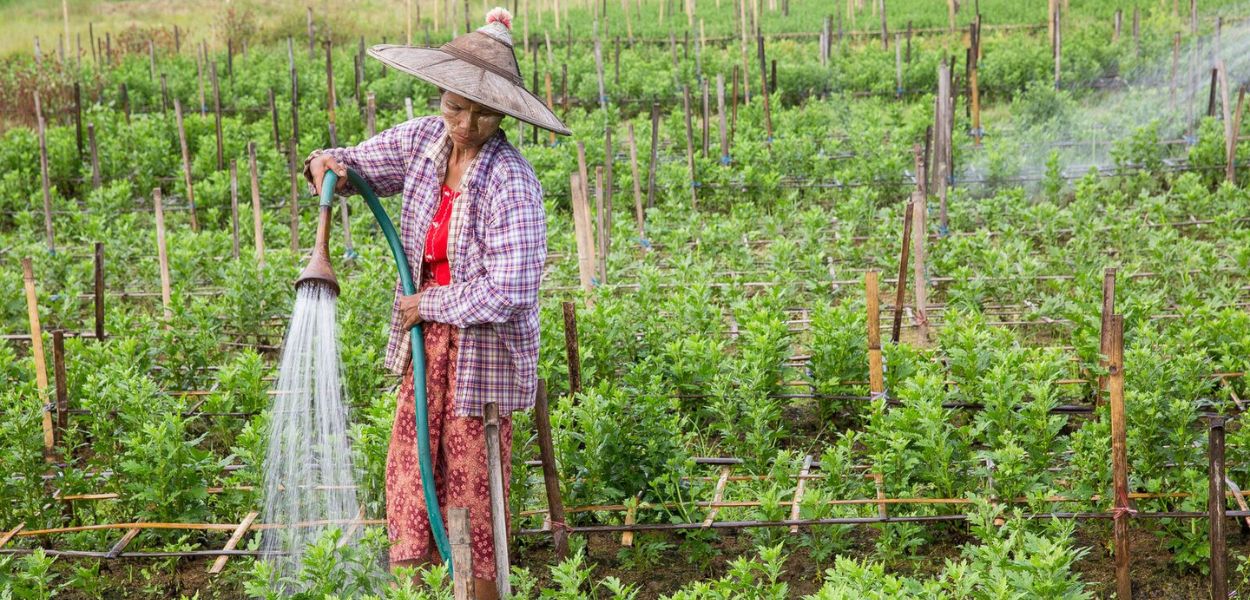 Helping Myanmar’s Small Farmers Succeed
