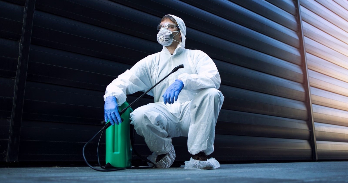 Safe and Sanitary: Why Outsourcing Pest Management Makes Sense for a ...