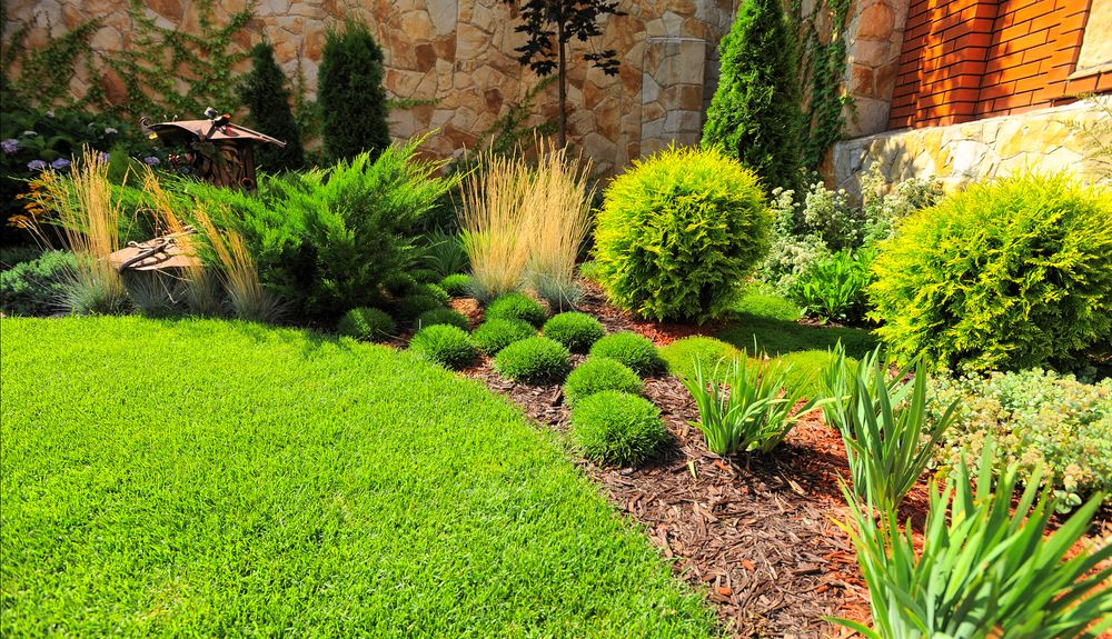 Creating Your Self-Storage Landscape Plan: Factors for Success