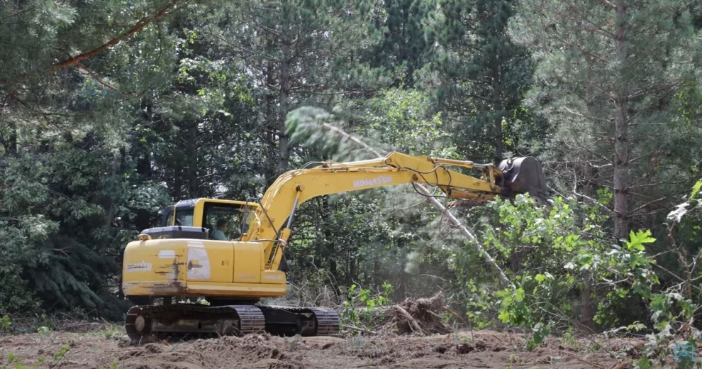 A Self-Storage Developer Discusses Clearing a Heavily Treed Lot