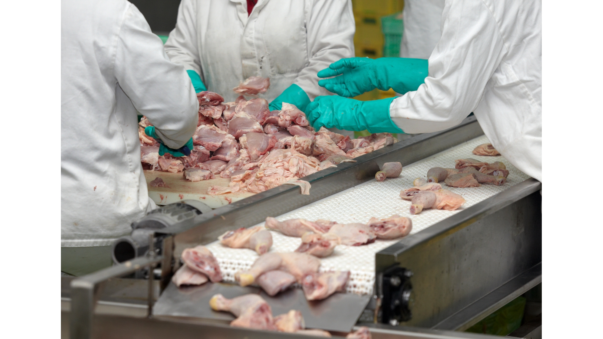 Perdue Farms to Close Poultry Plant, Lay Off Hundreds