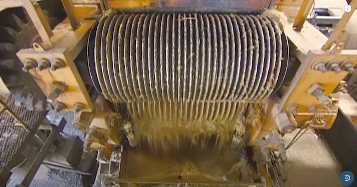 Video Showcases the Array of Equipment Used to Produce Sugar