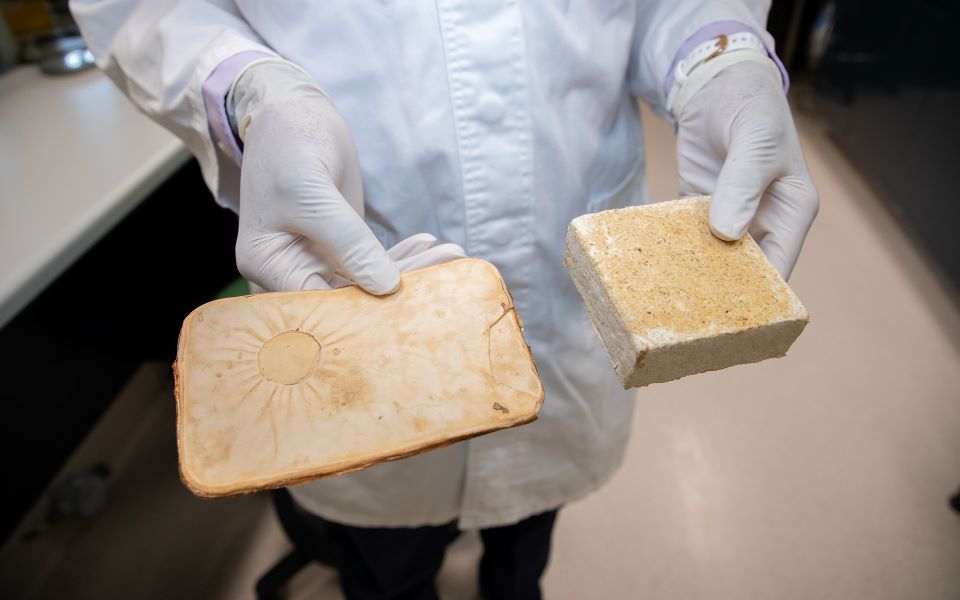 Is Fungi the New Fireproof Building Material?