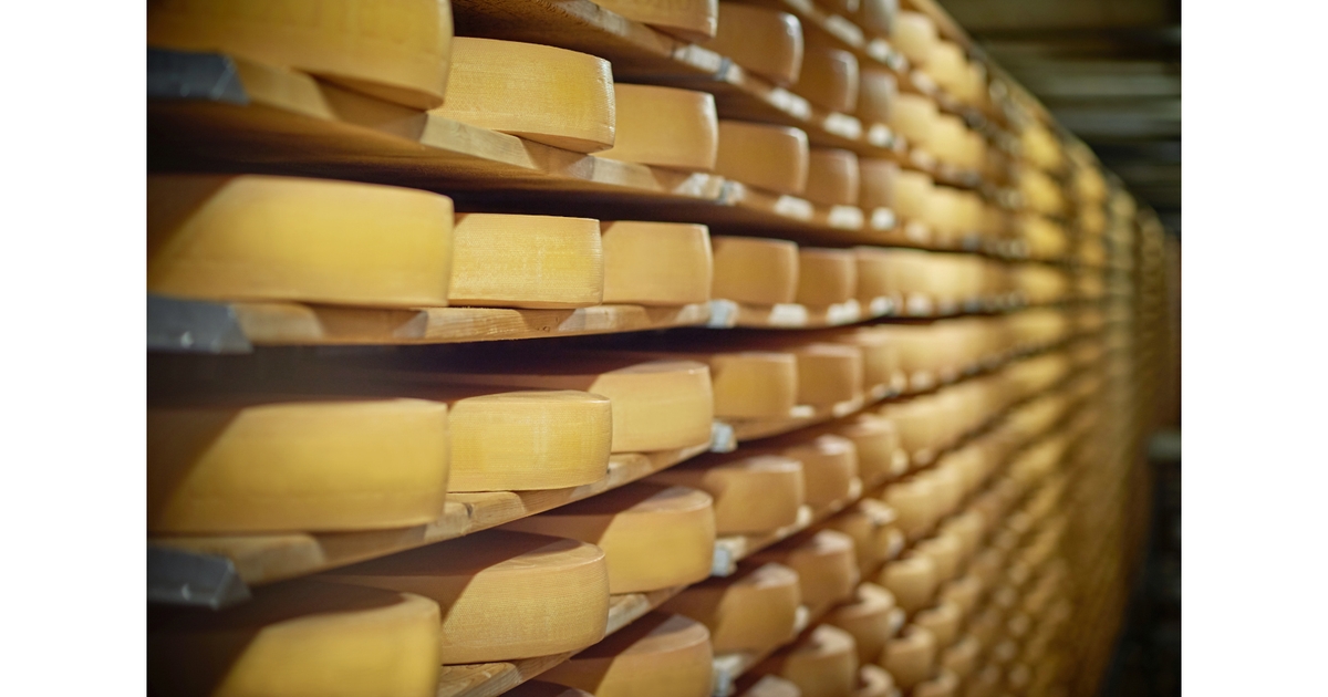 29 Sent to Hospital from 2 Chemical Leaks at Cheese Plant