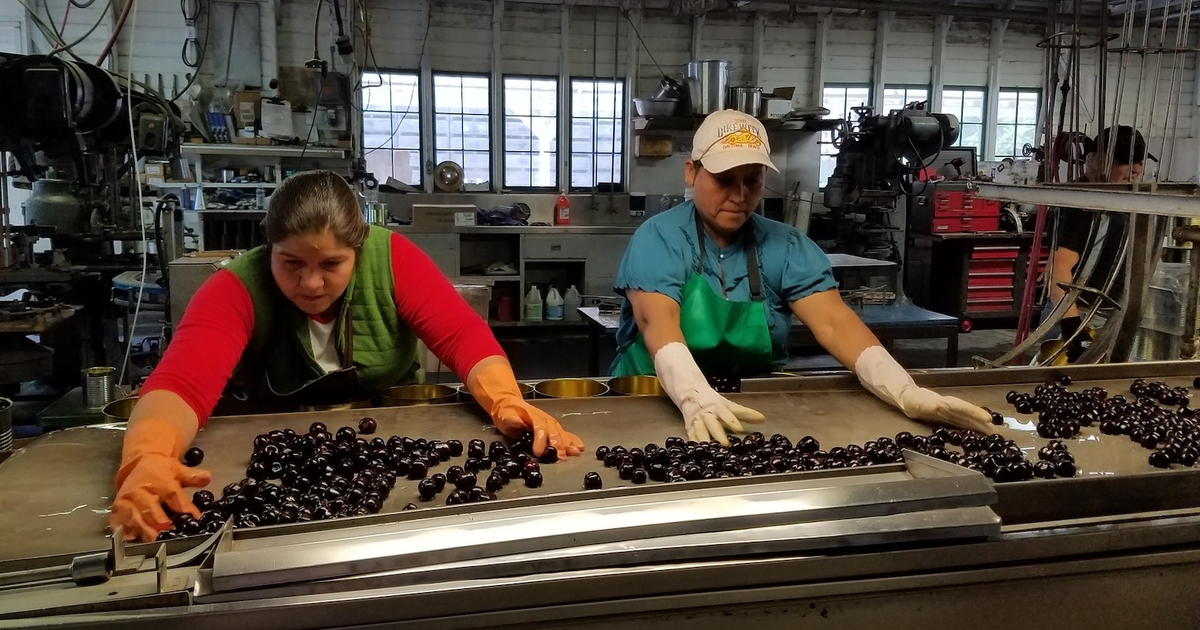 Top 5 FDA Food Facility Violations in 2020