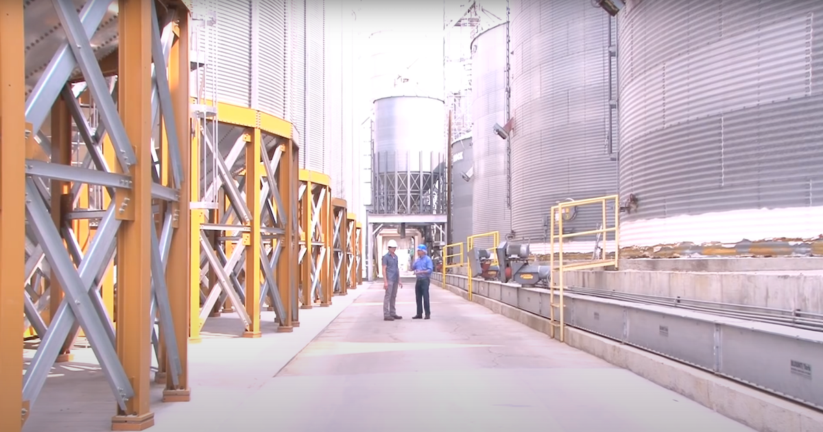 7 Must-See Food Factory Tour Videos