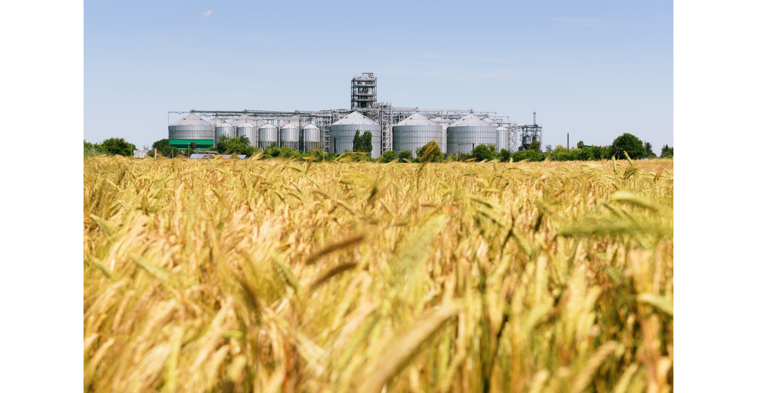 5 tips on grain handling safety