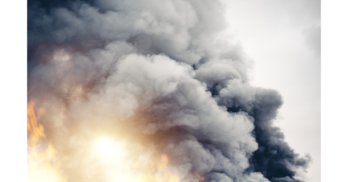 2 Fires at Separate Pet Food Plants