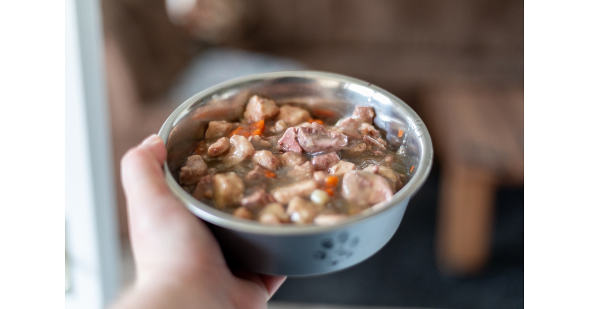 Ÿnsect Launches New Insect-Based Pet Food